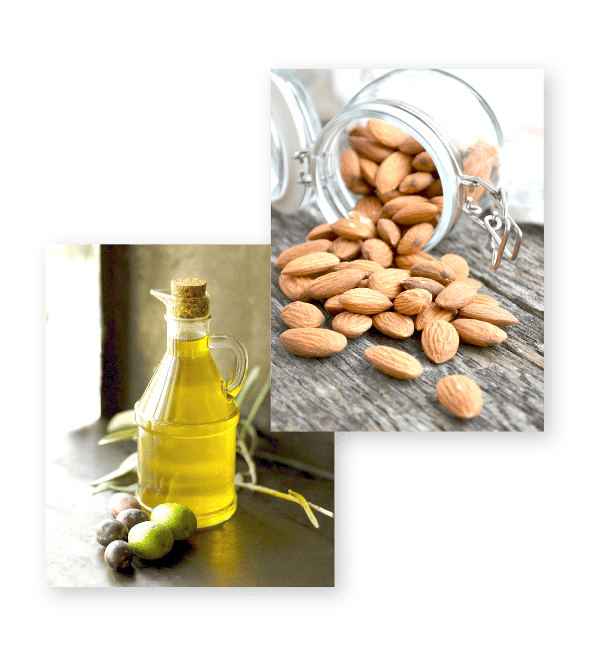 ZinaCal Program – SerrarPharma